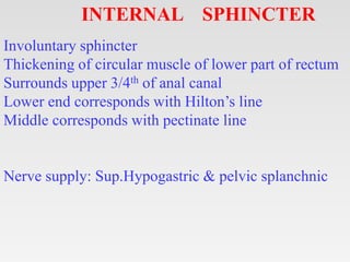 Anal Canal.pptx