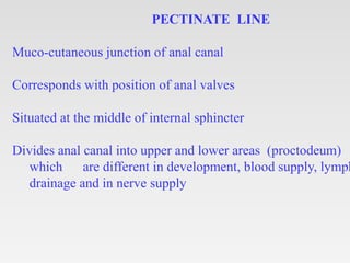 Anal Canal.pptx