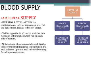 Anal canal - II.pptx