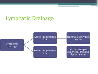 Anal canal - II.pptx