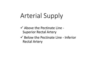 Anal Canal-WPS Office.pptx