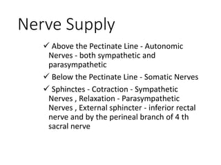 Anal Canal-WPS Office.pptx