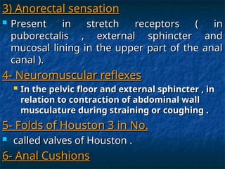 anal canal and rectum anatomy and physiology | PPT