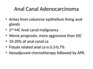 Comprehensive Overview Of Anal Canal Cancer Diagnosis Treatment And