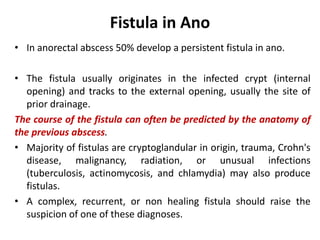 anal_canal_surgical_anatomy_pilonidal_sinus.ppt