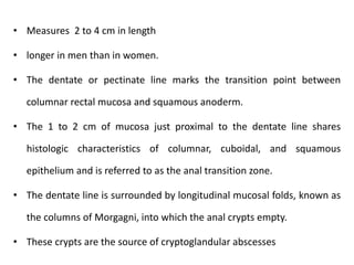 anal_canal_surgical_anatomy_pilonidal_sinus.ppt