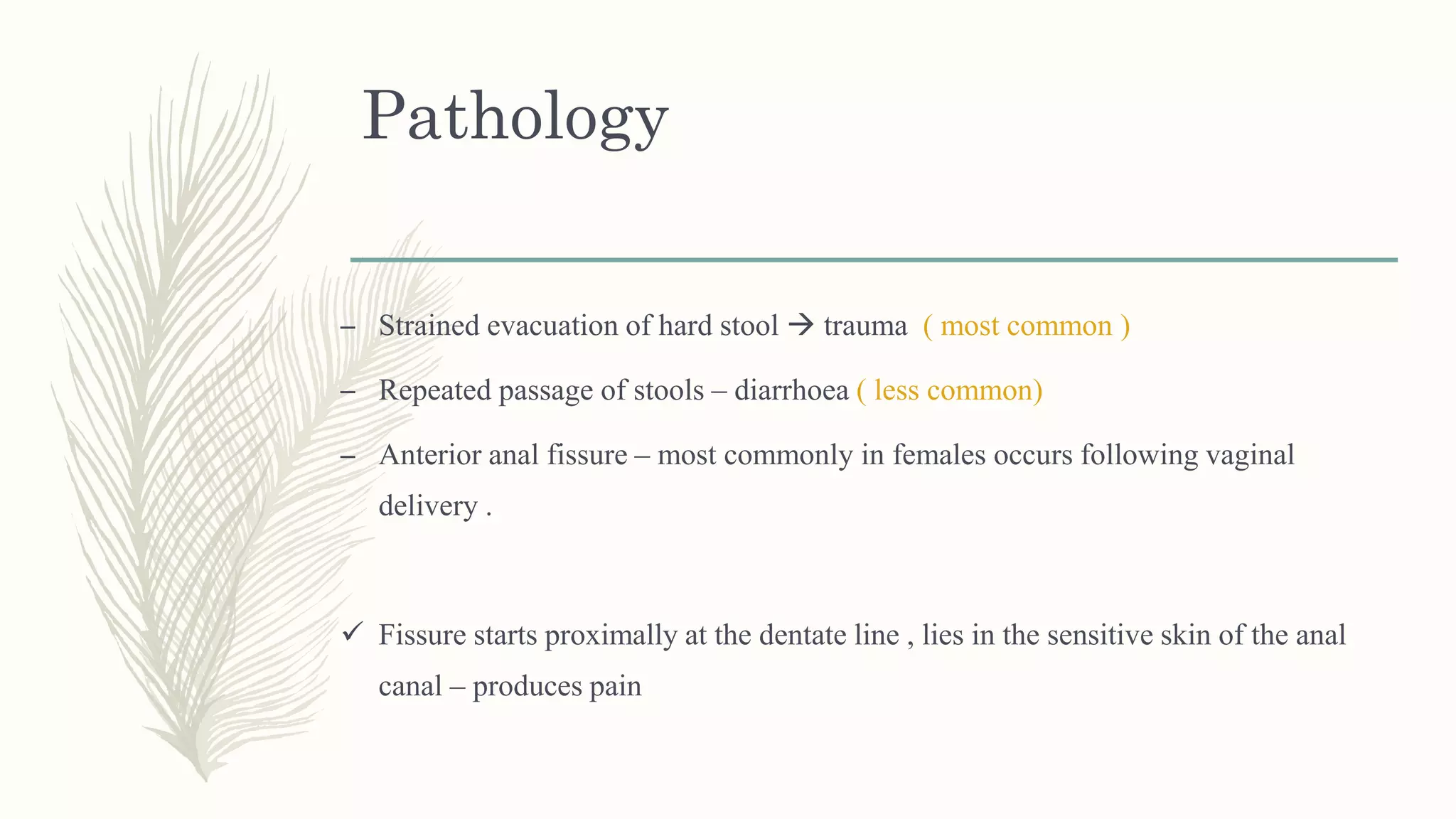 Anal fissure and haemrrhoid | PPTX