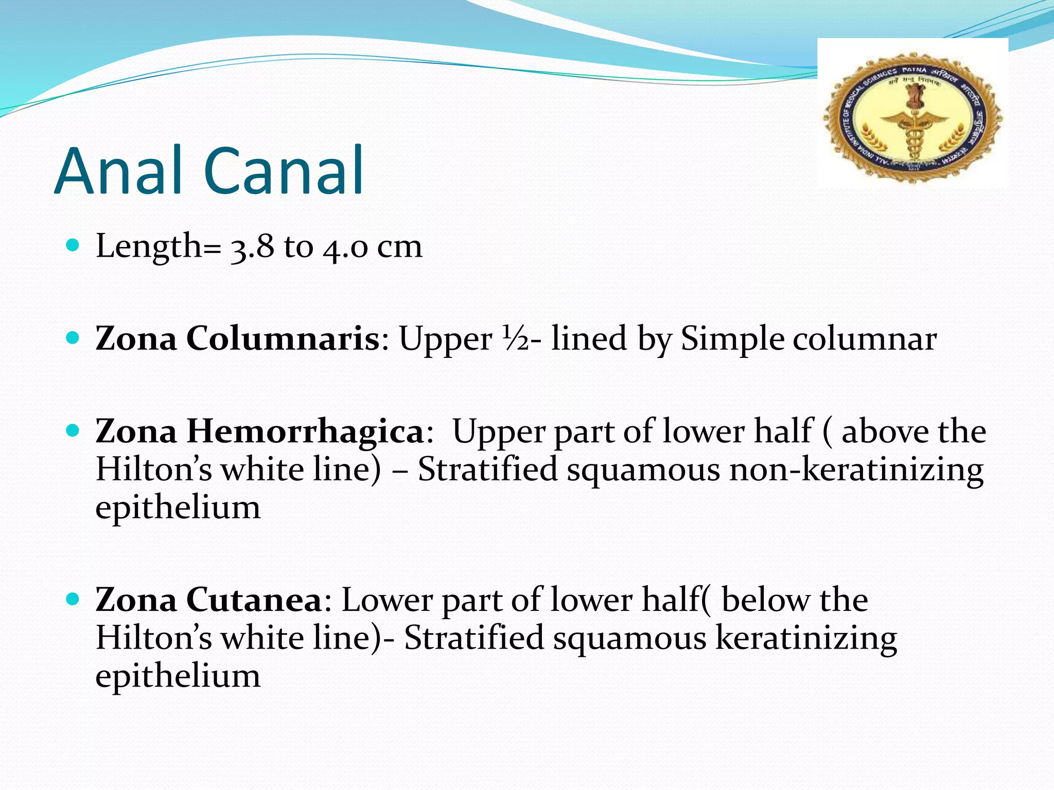 PPT by Dr Anil Kumar, Assitant Professor, AIIMS,Patna on Anal Fissure ...