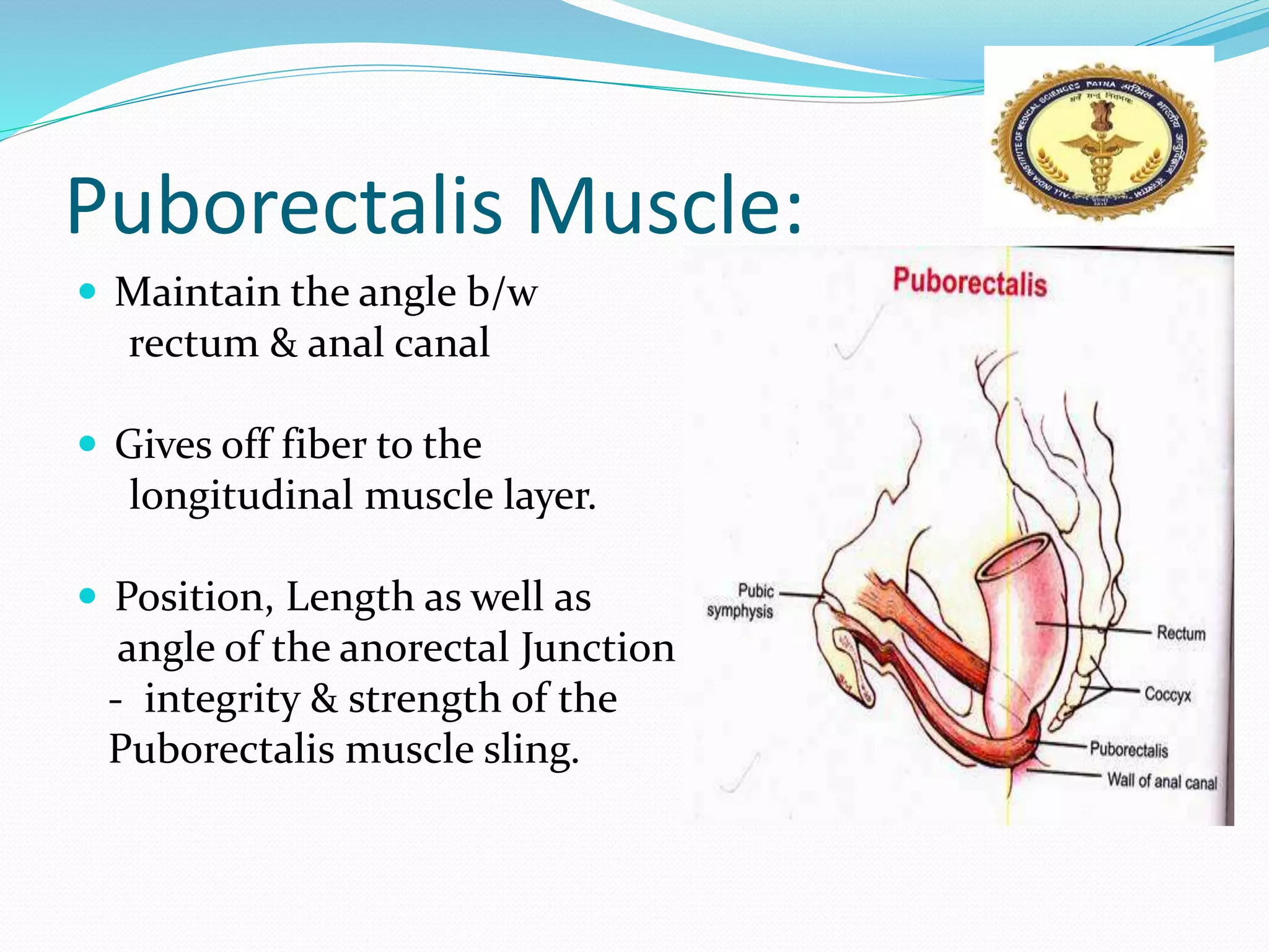 PPT by Dr Anil Kumar, Assitant Professor, AIIMS,Patna on Anal Fissure ...
