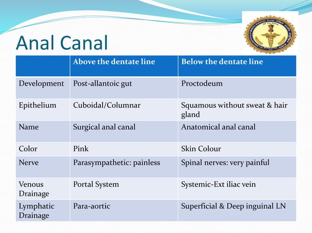 PPT by Dr Anil Kumar, Assitant Professor, AIIMS,Patna on Anal Fissure & Fistula in Ano | PPTX ...
