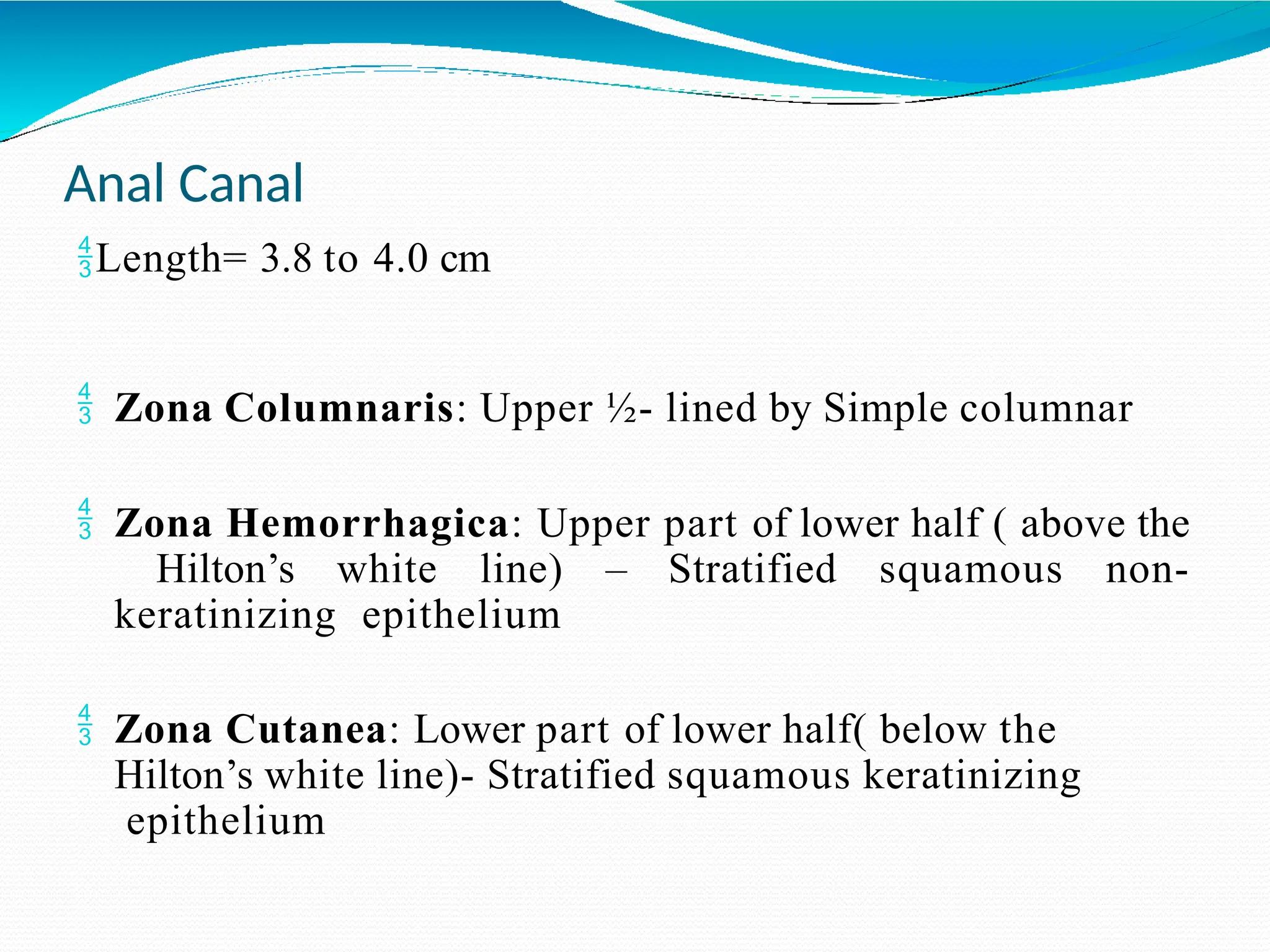 Anal fissure hemmorids pilonidal sinus ppt.pptx