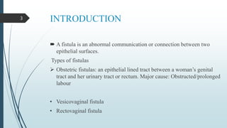 ANAL FISTULA a surgical dissection including treatment | PPTX