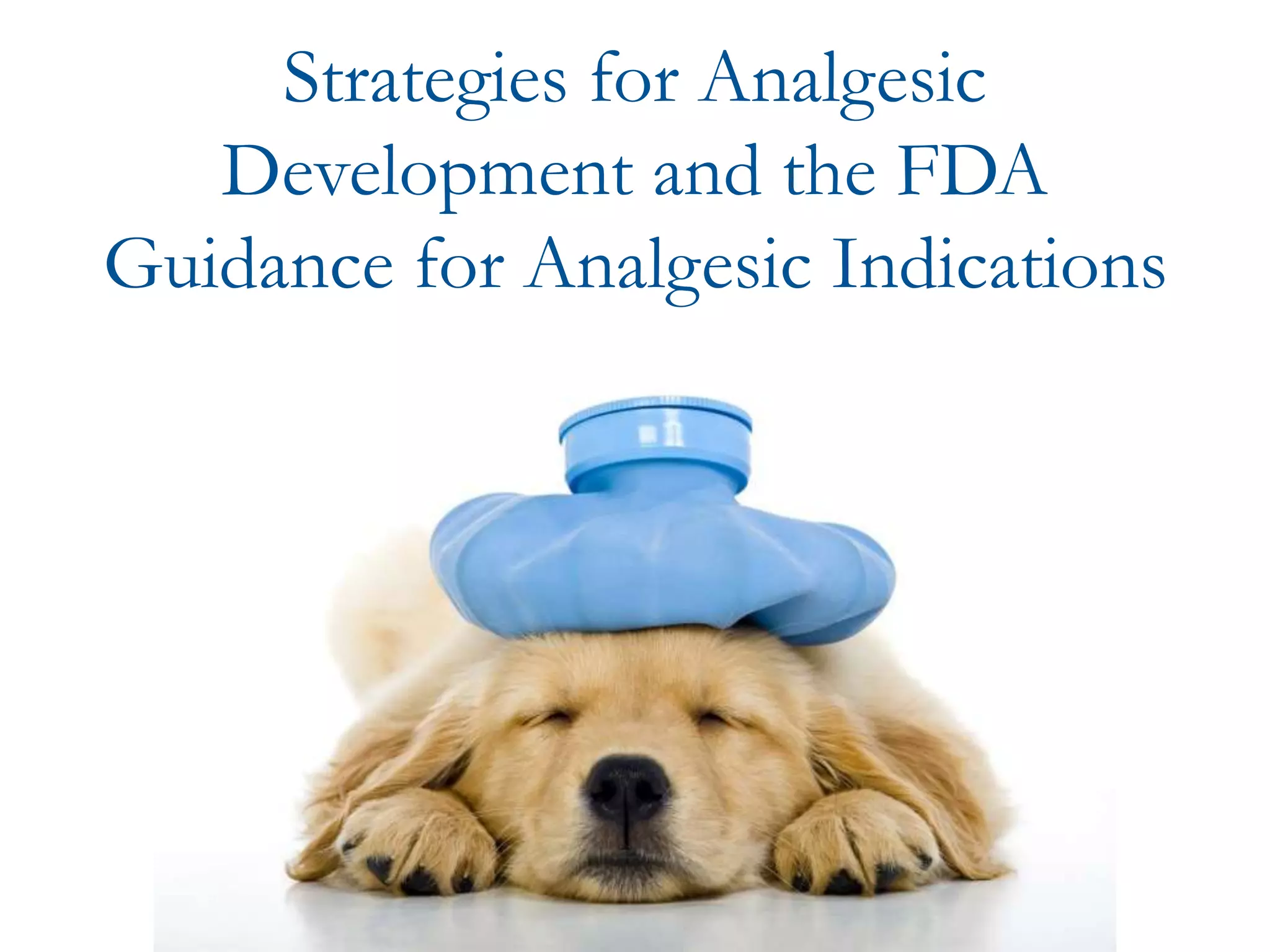 Strategies for Analgesic Development and the FDA Guidance for Analgesic ...