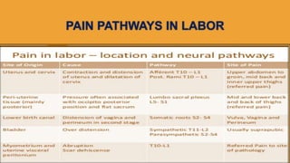 ANALGESIA IN OBSTETRICS | PPTX