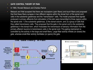Analgesics (painkillers) | PPTX