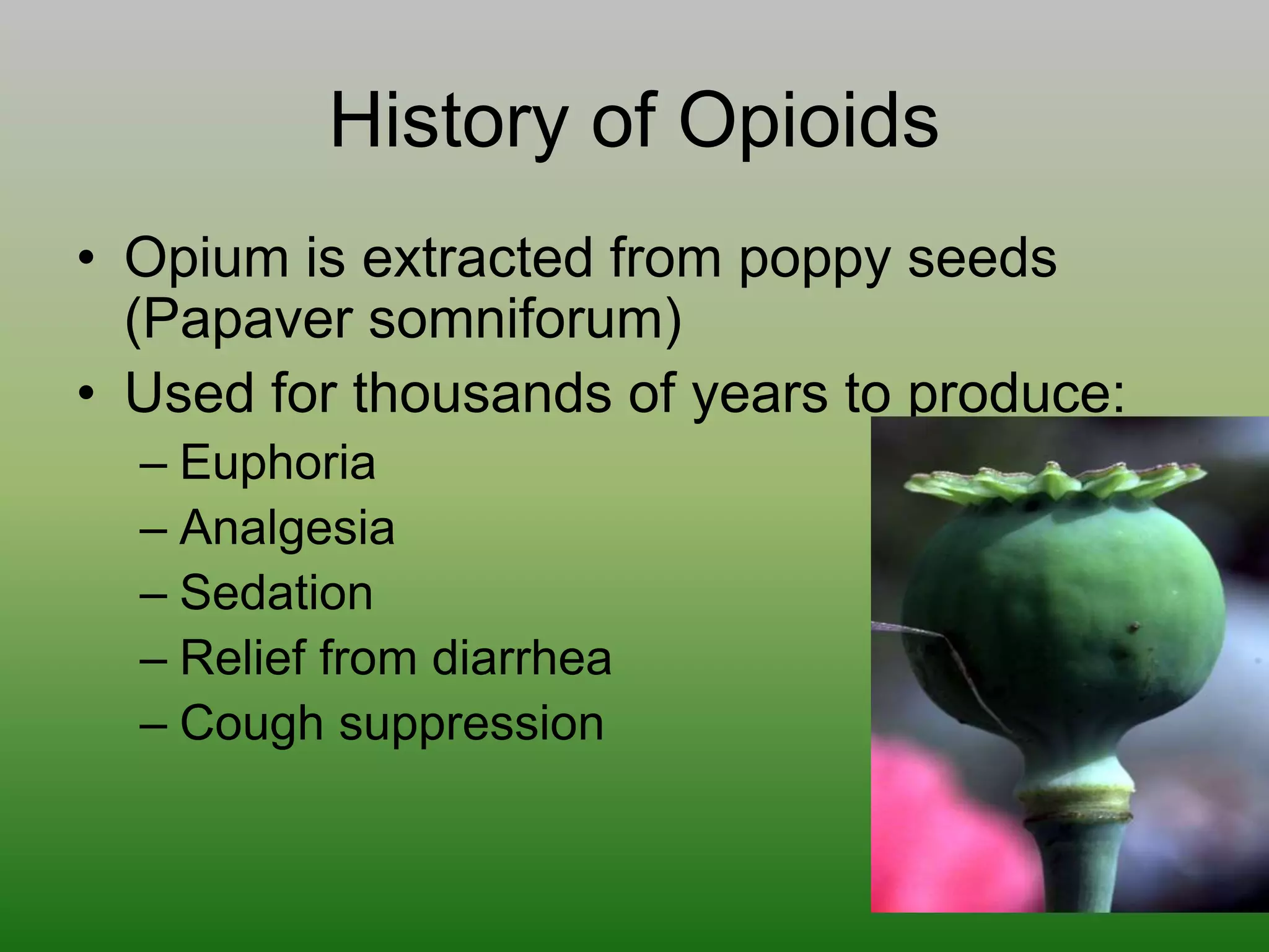 Analgesic.ppt