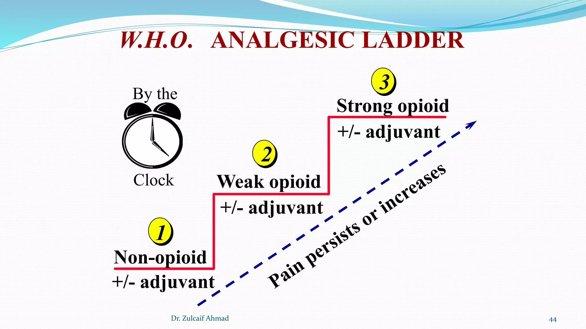 Analgesic, Pain Ladder, Pain Assessment & Pain Treatment | PPTX