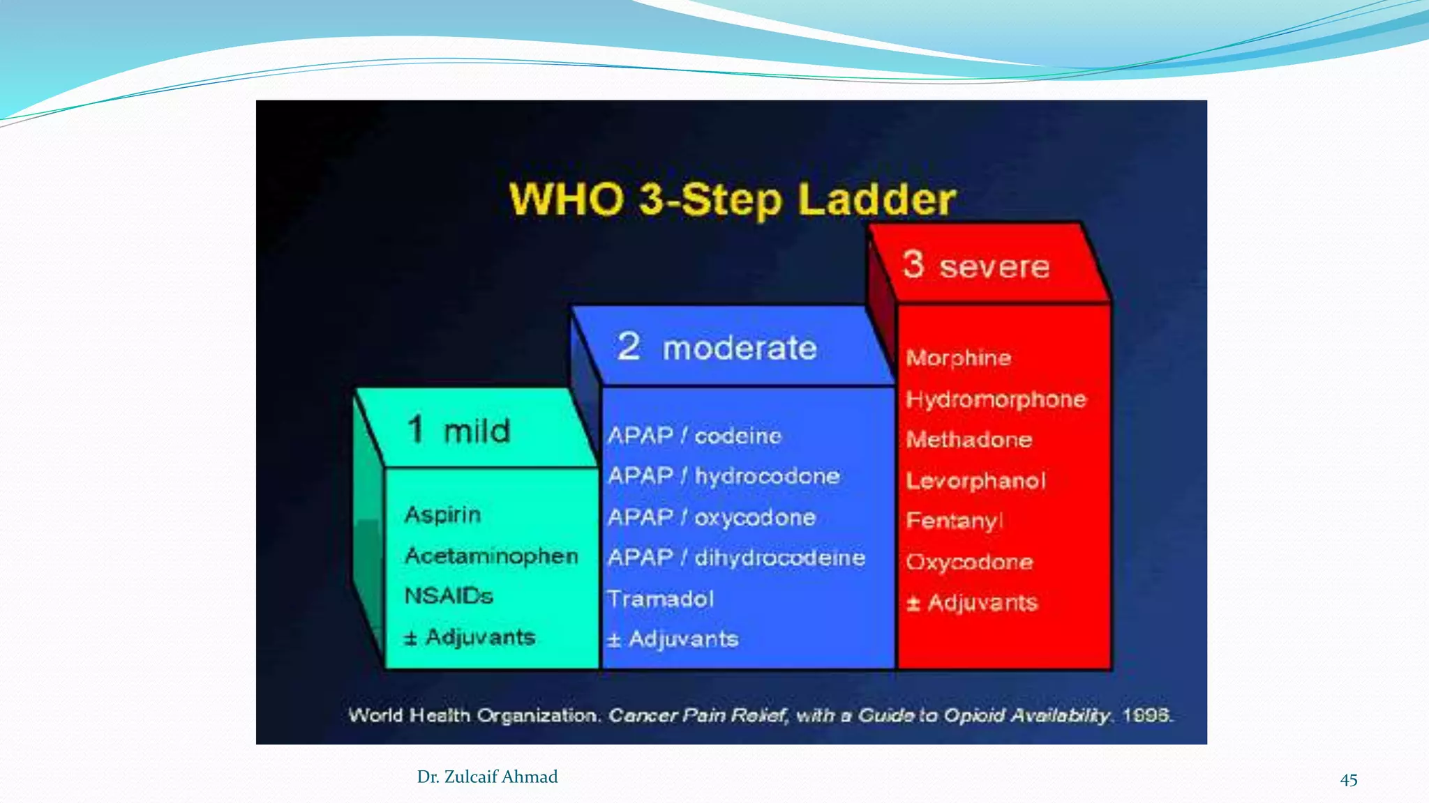 Analgesic, Pain Ladder, Pain Assessment & Pain Treatment | PPTX