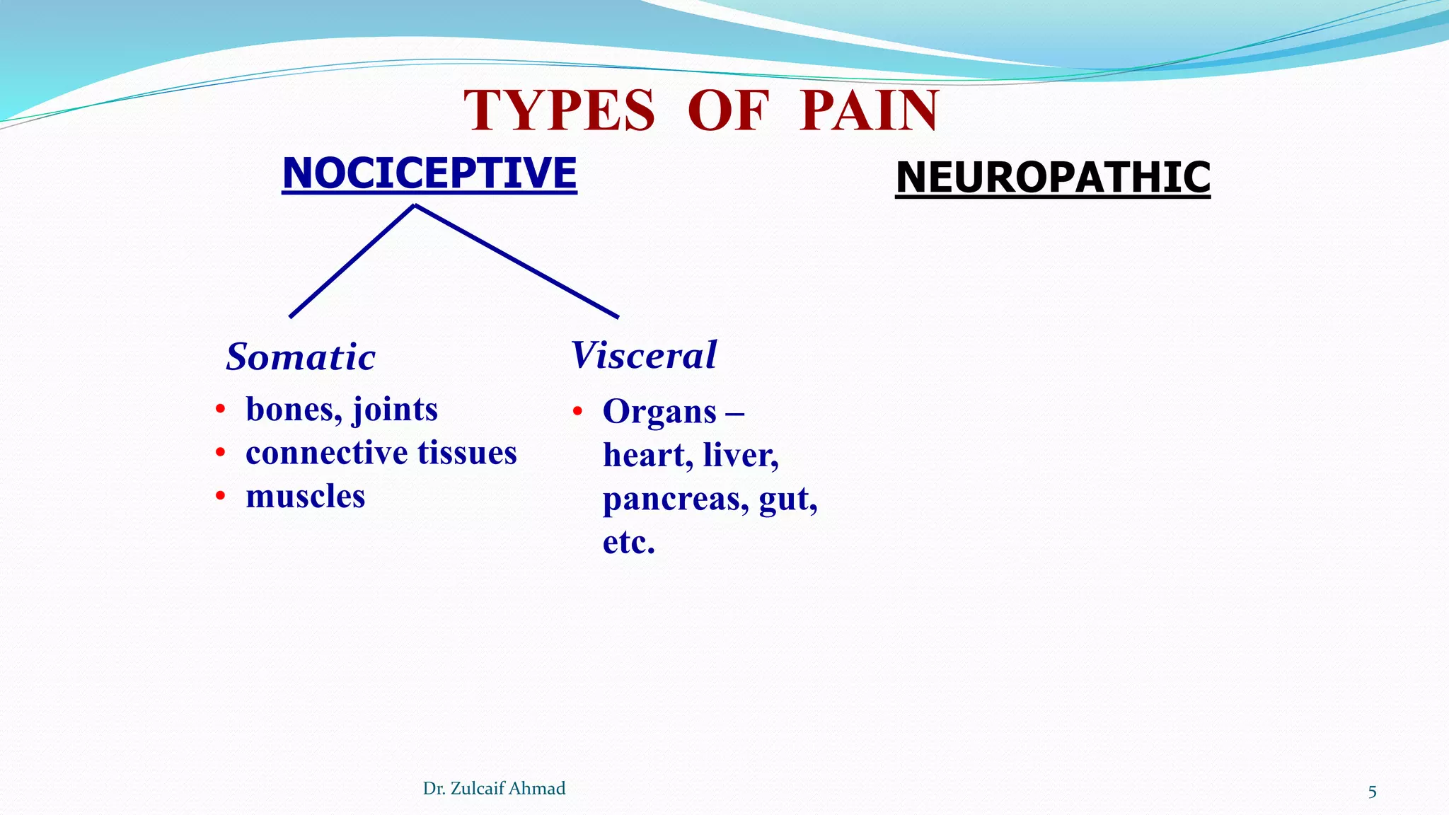 Analgesic, Pain Ladder, Pain Assessment & Pain Treatment | PPTX