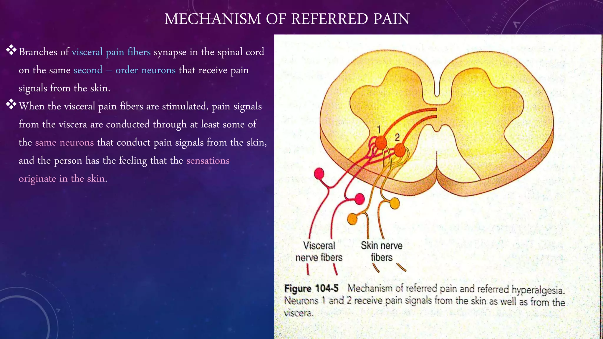 Analgesic pathways and referred pain | PPTX