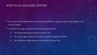 Analgesic pathways and referred pain | PPTX | Brain and Nervous System ...