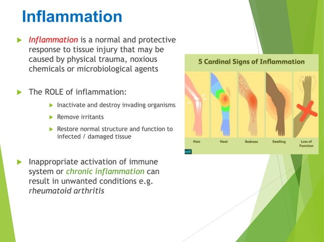 Analgesics - Nonsteroidal Anti-inflammatory (NSAIDs).pptx | Digestive ...