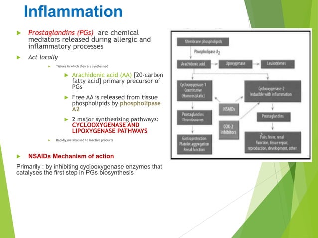 Analgesics - Nonsteroidal Anti-inflammatory (NSAIDs).pptx | Digestive ...