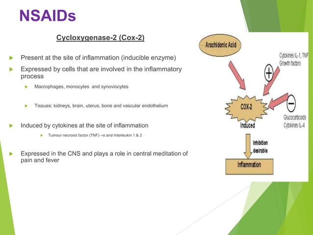 Analgesics - Nonsteroidal Anti-inflammatory (NSAIDs).pptx | Digestive Disorders | Diseases and ...