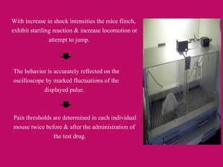 Analgesic screeening model | PPTX