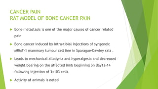 Analgesic screening methods | PPTX