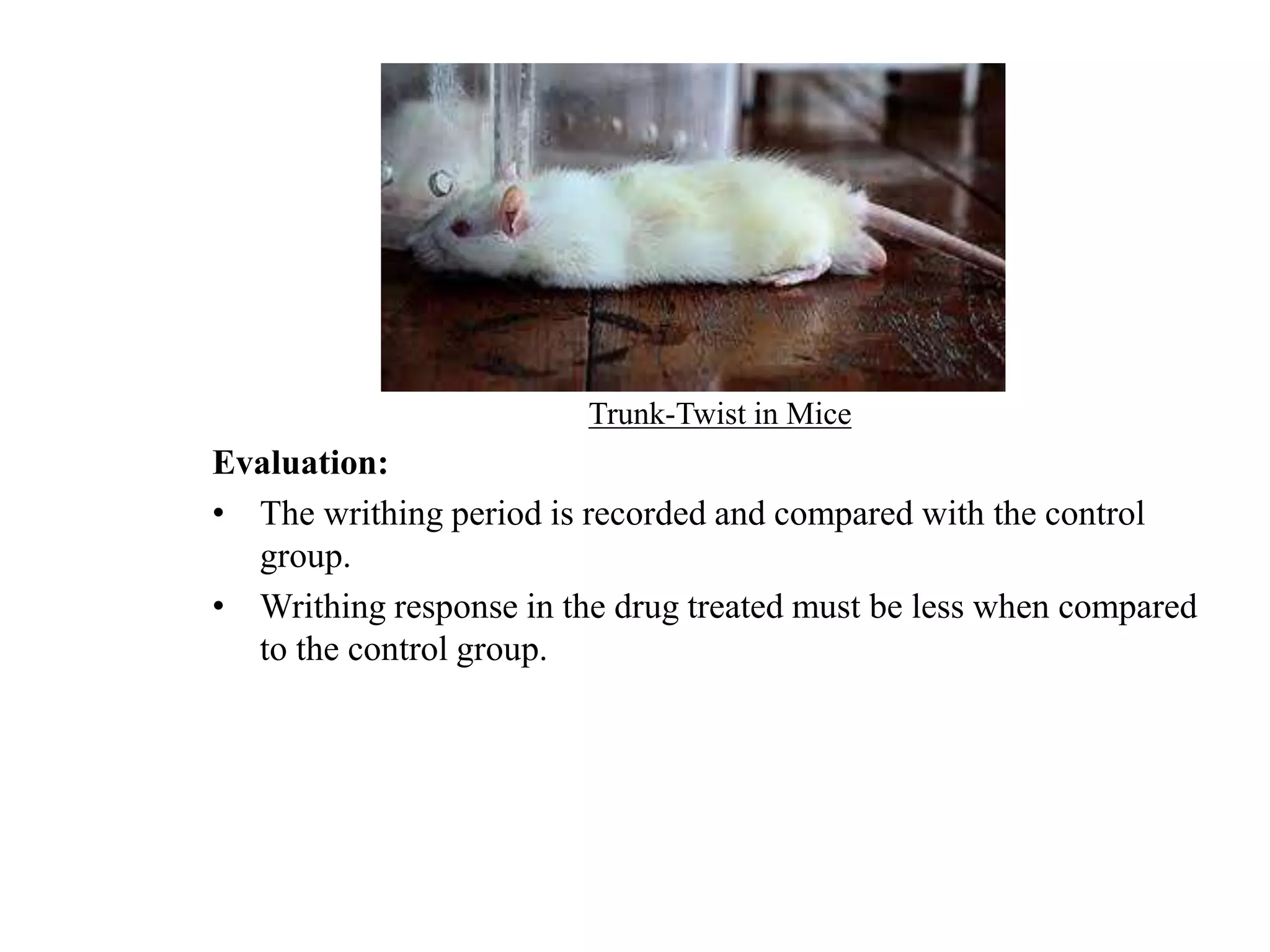 Analgesic Screening Models | PPTX