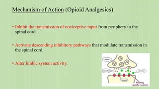 Analgesics in Dentistry | PPTX