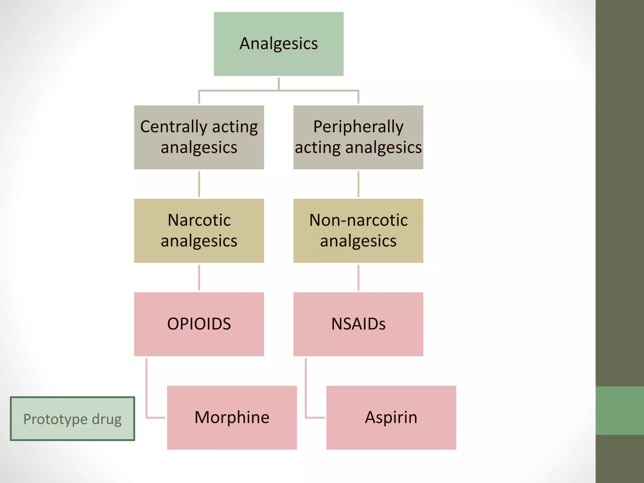 Analgesics opoids+ NSAIDs -nursing | PPTX