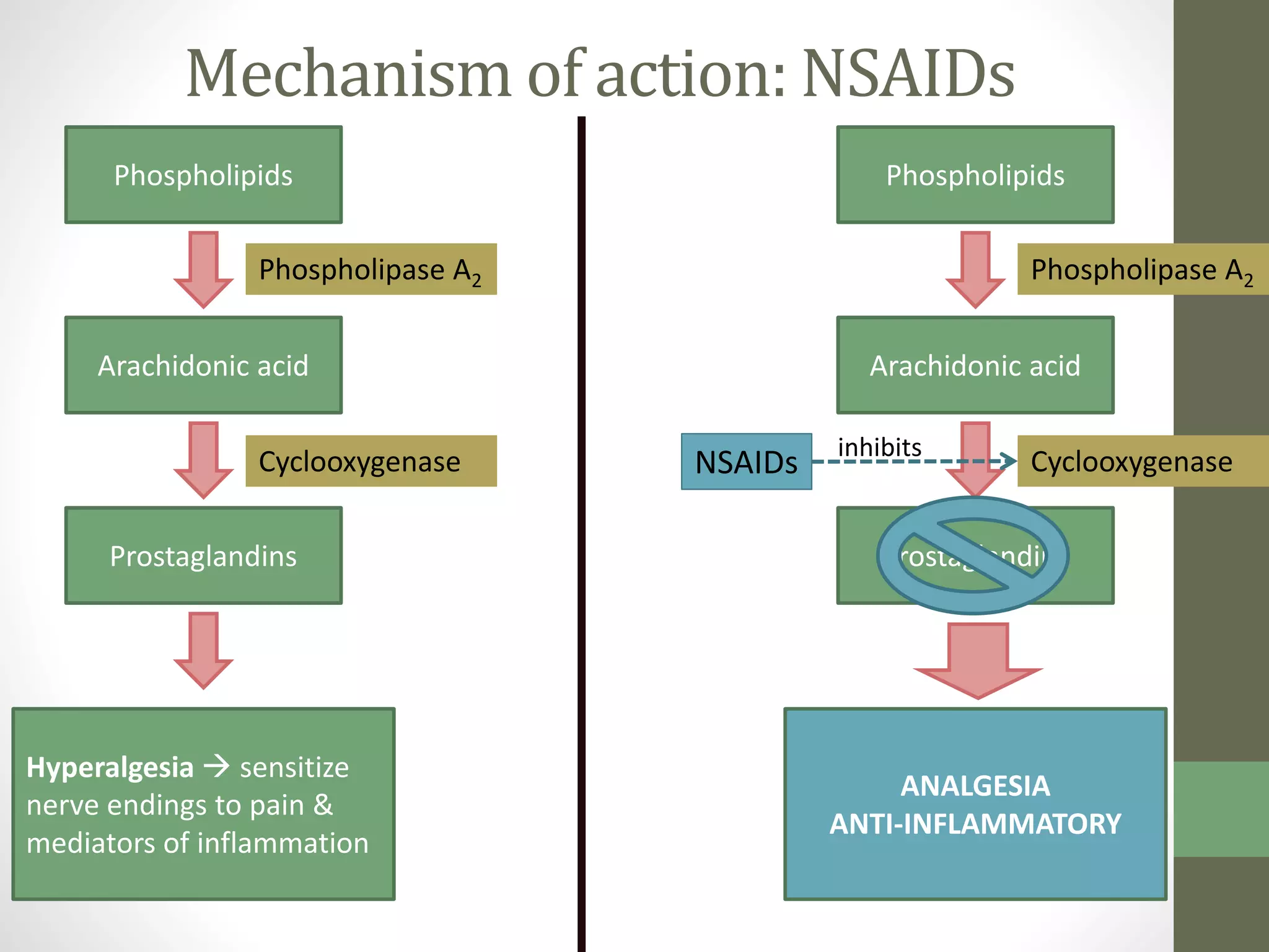 Analgesics opoids+ NSAIDs -nursing | PPT