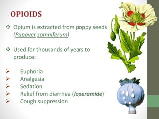 Analgesics opoids+ NSAIDs -nursing | PPT