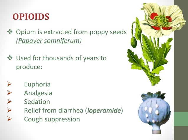 Analgesics opoids+ NSAIDs -nursing | PPT