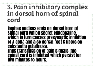 Analgesic system of body | PDF