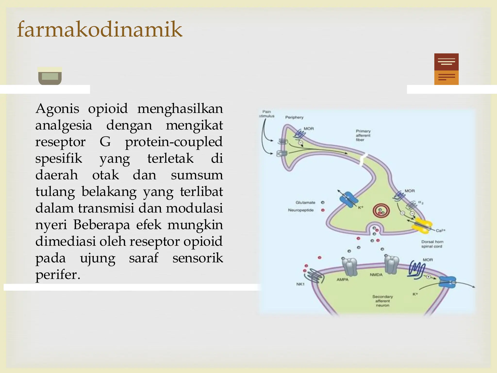 farmakologi analgetik dan antipiretika 2.pdf