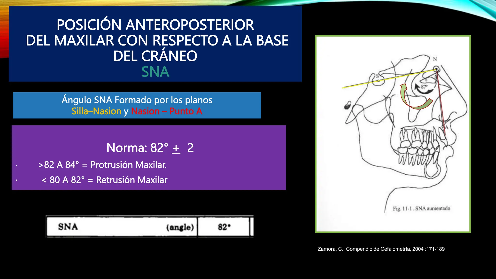 CEFALOMETRIA DE STEINER DIFERENTES MEDIDAS BASADAS EN SU ARTICULO ...