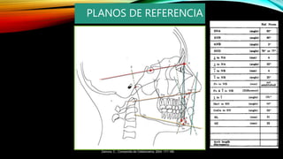 CEFALOMETRIA DE STEINER DIFERENTES MEDIDAS BASADAS EN SU ARTICULO ...