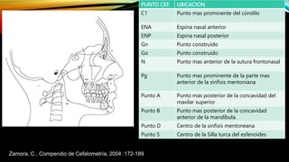 CEFALOMETRIA DE STEINER DIFERENTES MEDIDAS BASADAS EN SU ARTICULO ...