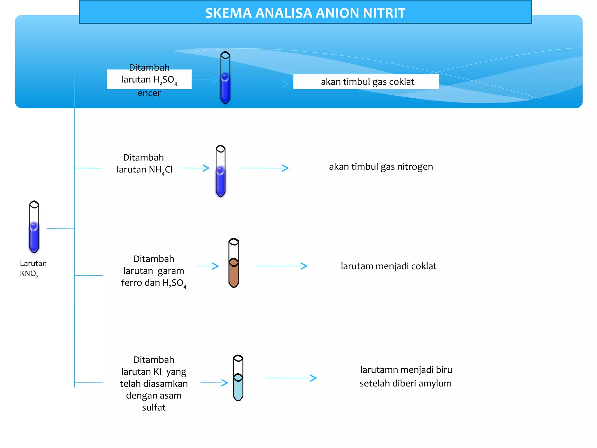Analisa anion | PPT
