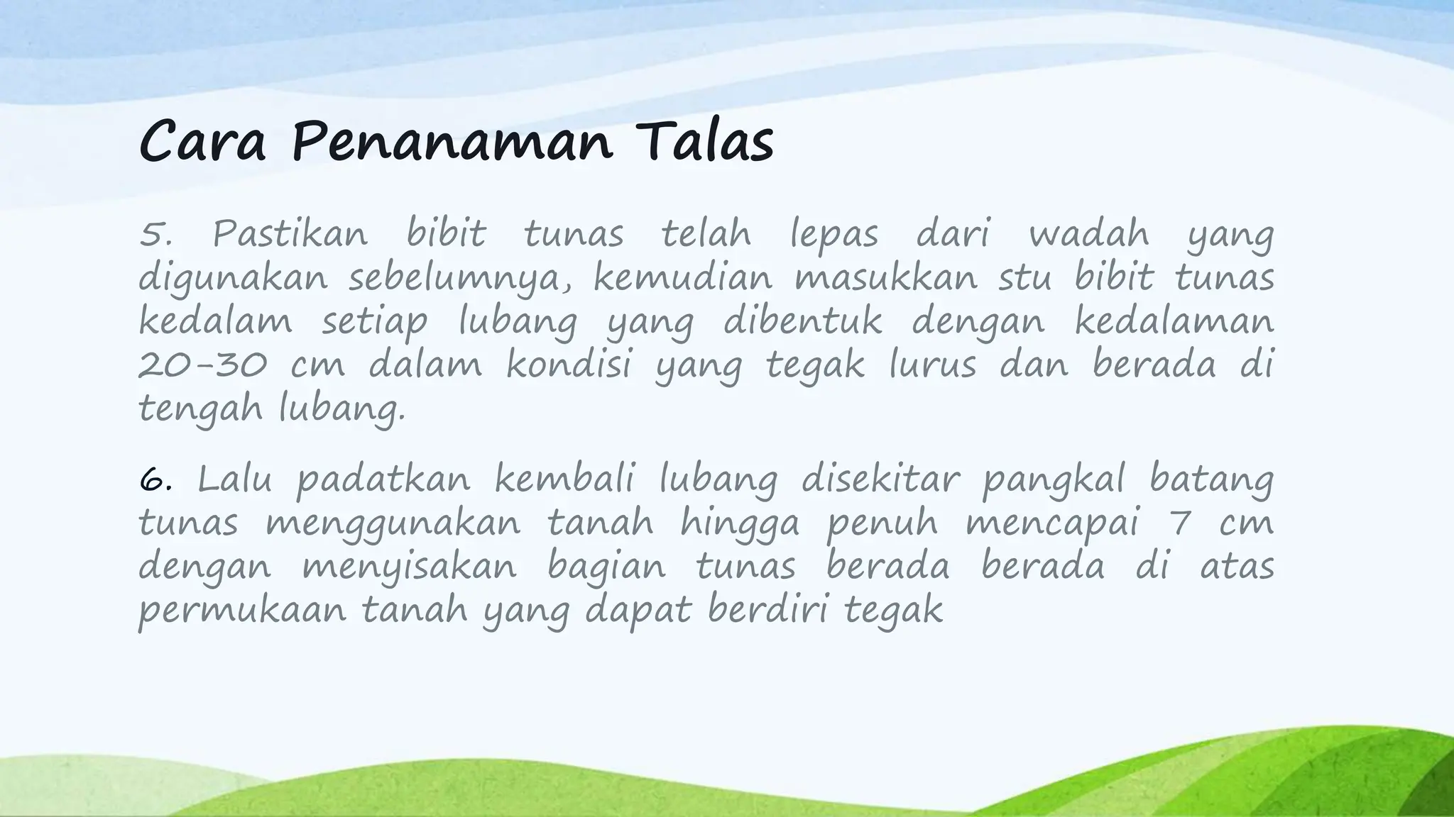 ANALISA DAN BUDIDAYA TALAS BENENG.pptx