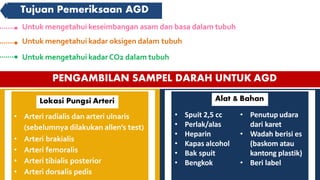 Analisa Gas Darah (Mata Kuliah Kimia Klinik II) | PPTX
