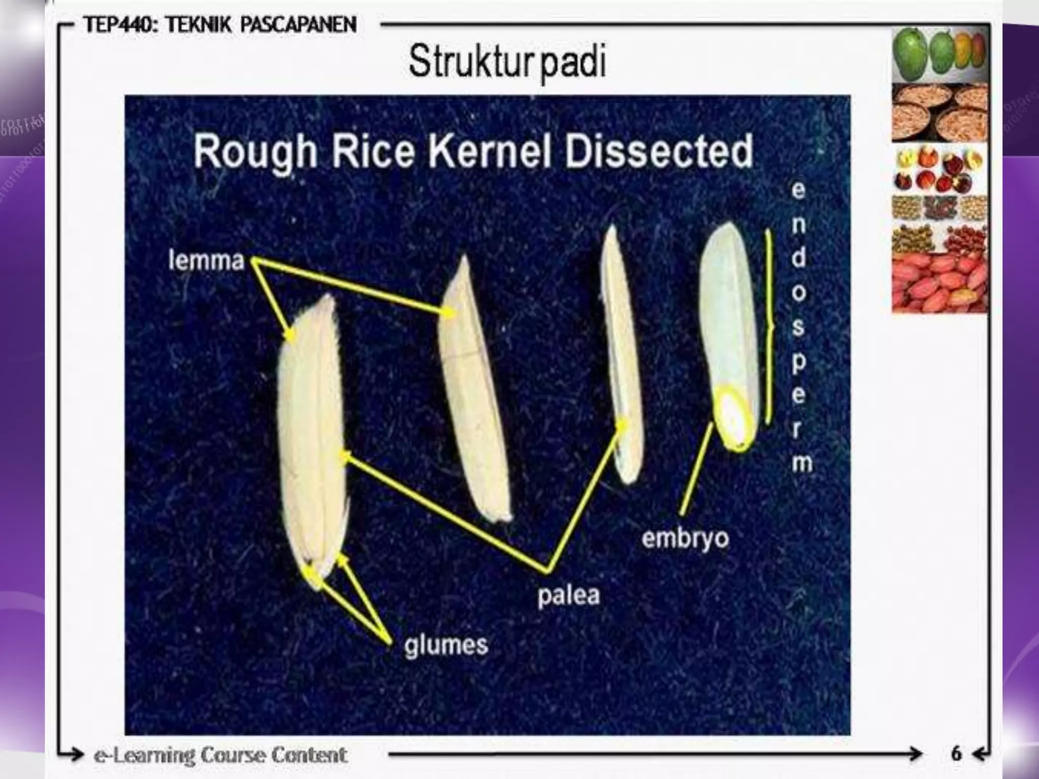 Analisa kelayakan mesin penggiling padi | PPTX