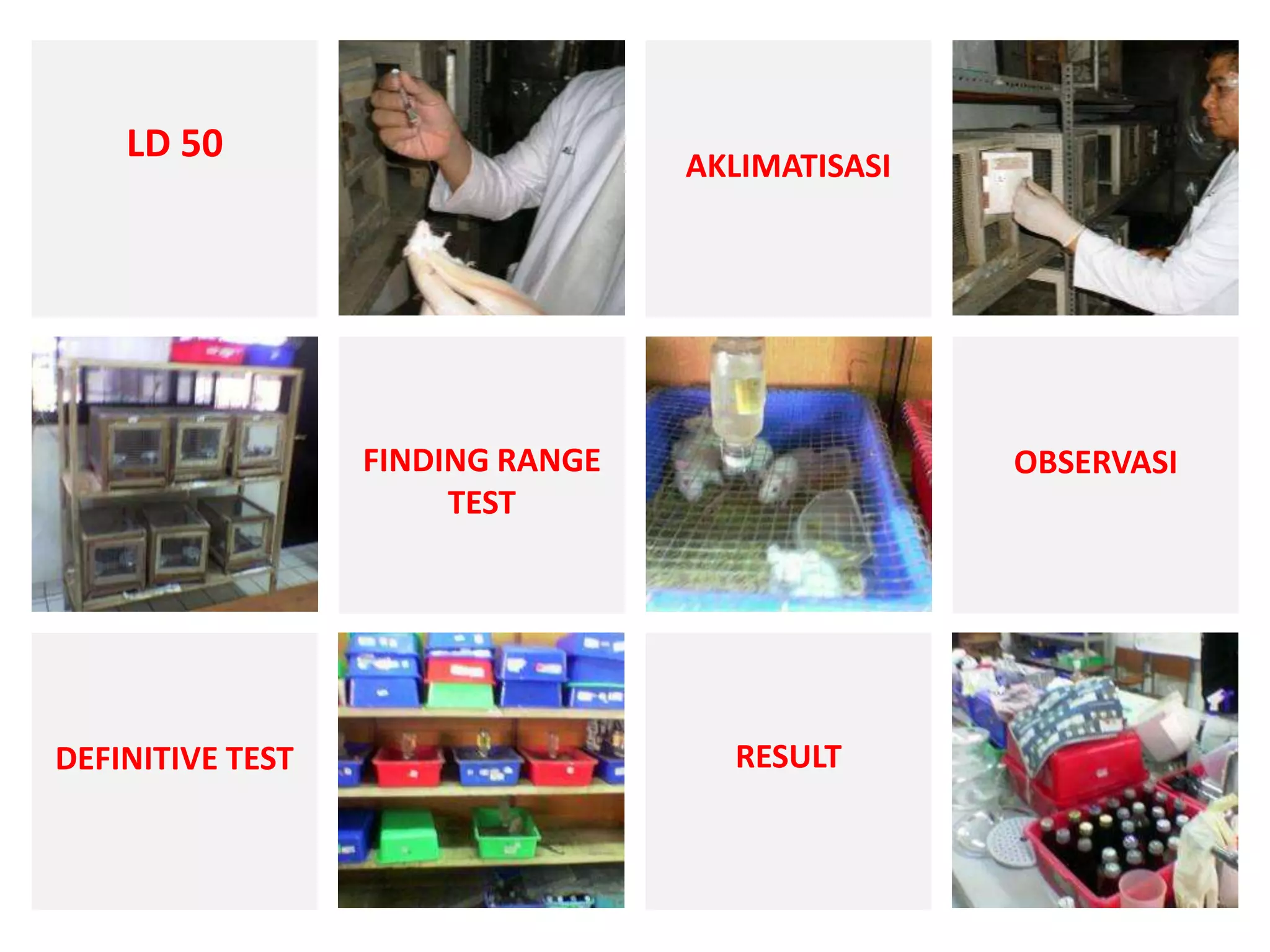 Toxicity Analysis, LD50, LC50, Chronic Toxic | PPTX