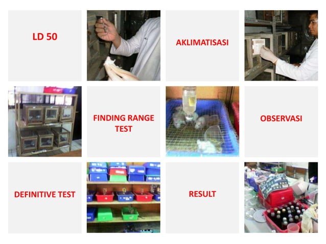 Toxicity Analysis, LD50, LC50, Chronic Toxic | PPTX