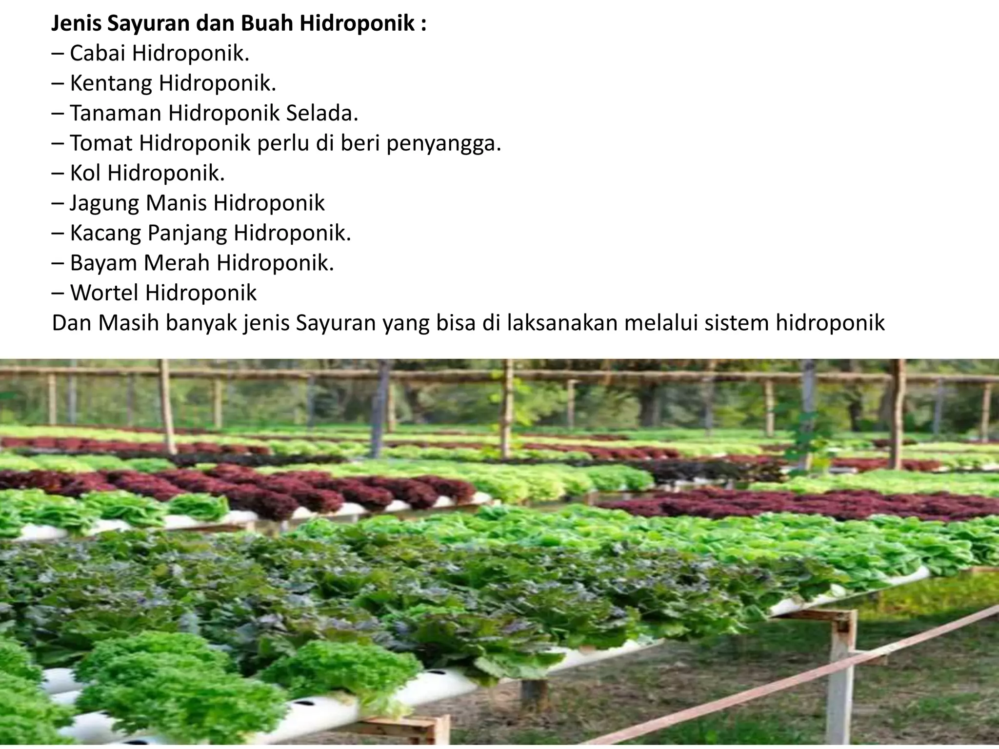 Analisa Usaha Hidroponik Sayuran dan Buah.pptx