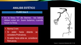 Analisis CEFALOMETRICO DE STEINER DONDE OBSERVACIONES DIFERENTES PLANOS ...