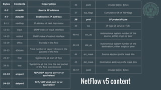 Analise NetFlow in Real Time | PPTX | Computer Networking | Computing